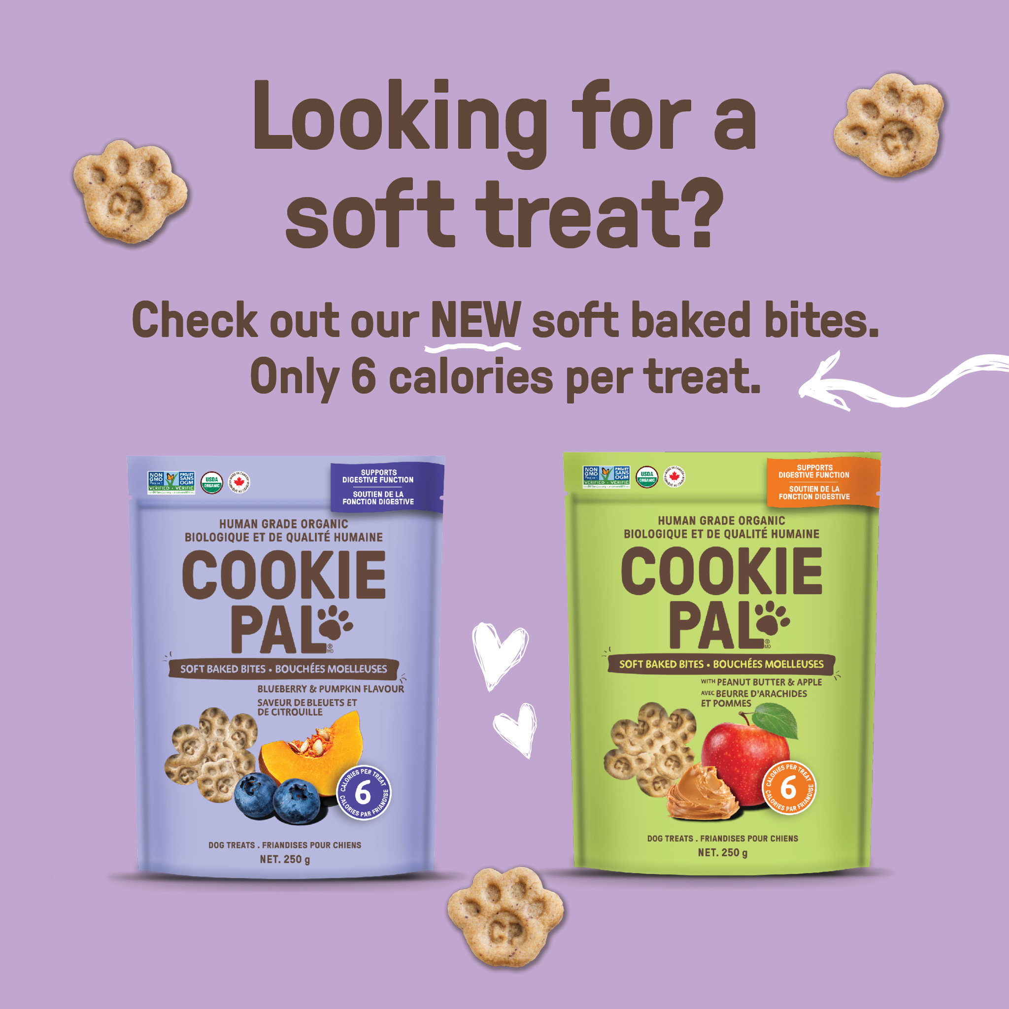 Peanut Butter Biscuits – COOKIE PAL